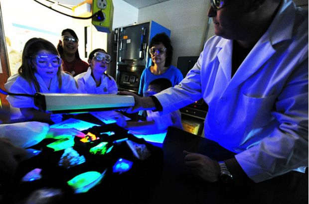 Celebrating British Science Week – Government Science and Engineering