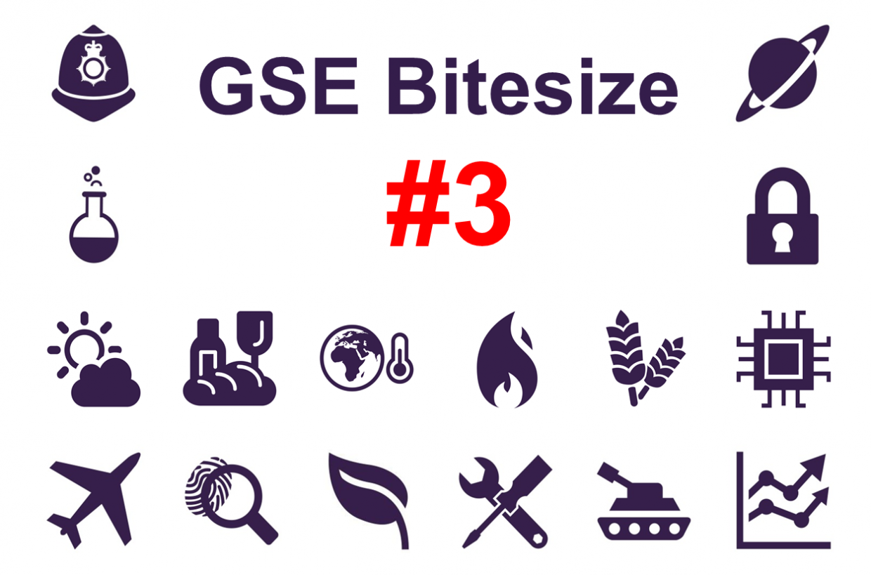 GSE Bitesize #3 – Government Science and Engineering