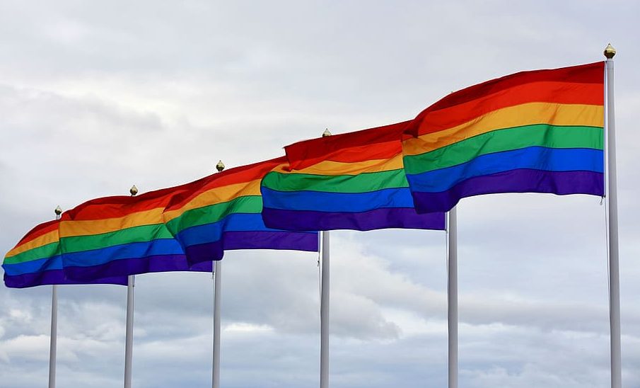 Pride Day 2020 – Government Science and Engineering