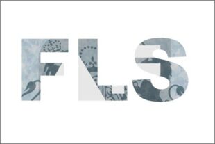 Could you be a Future Leader? – Government Science and Engineering