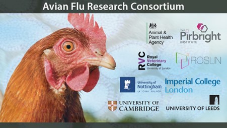 APHA, Defra and BBSRC have today announced a major new research ...
